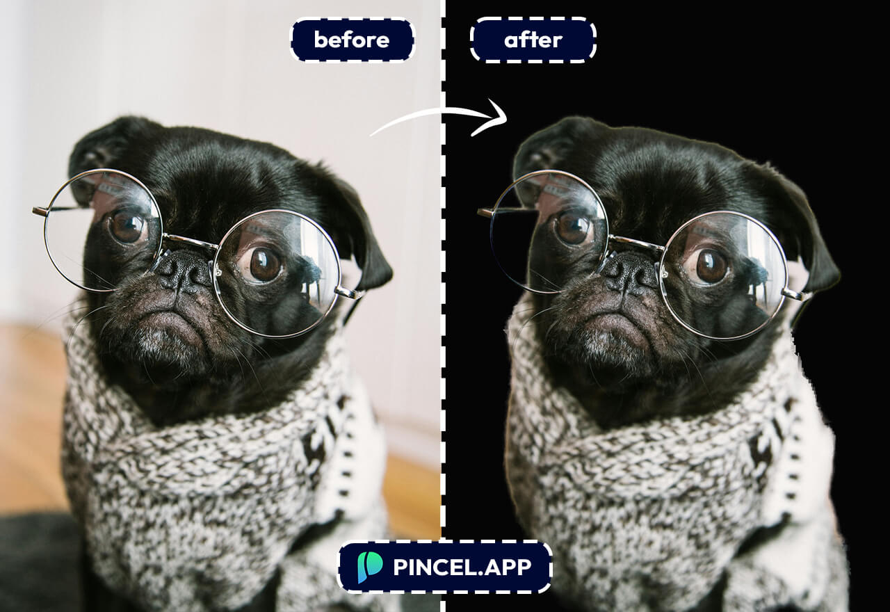 Add Black Background to a Photo Online - Pincel